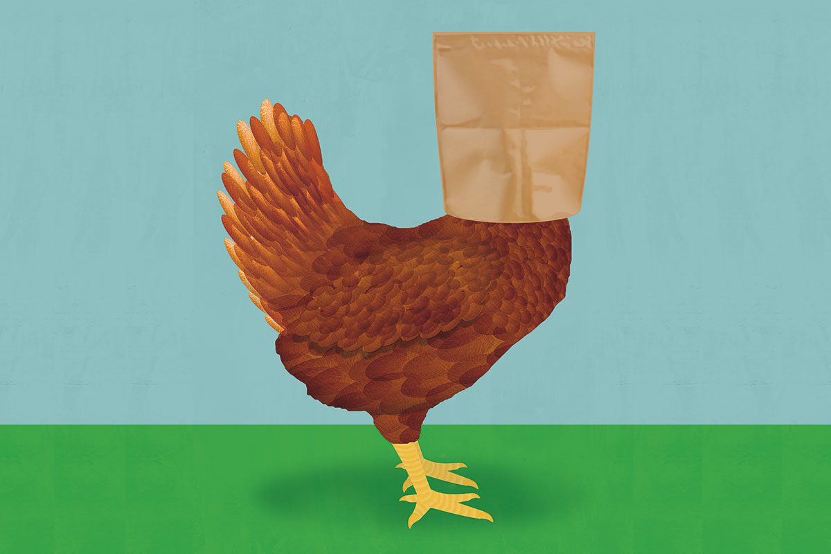 Newsletter: Don't Eat Anything With A Face - Open to Debate